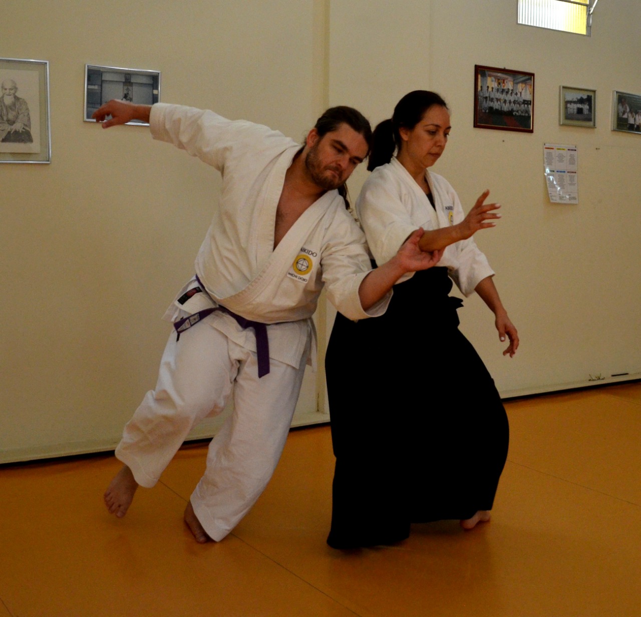 Aikido, o Caminho da Harmonia – Life Informa
