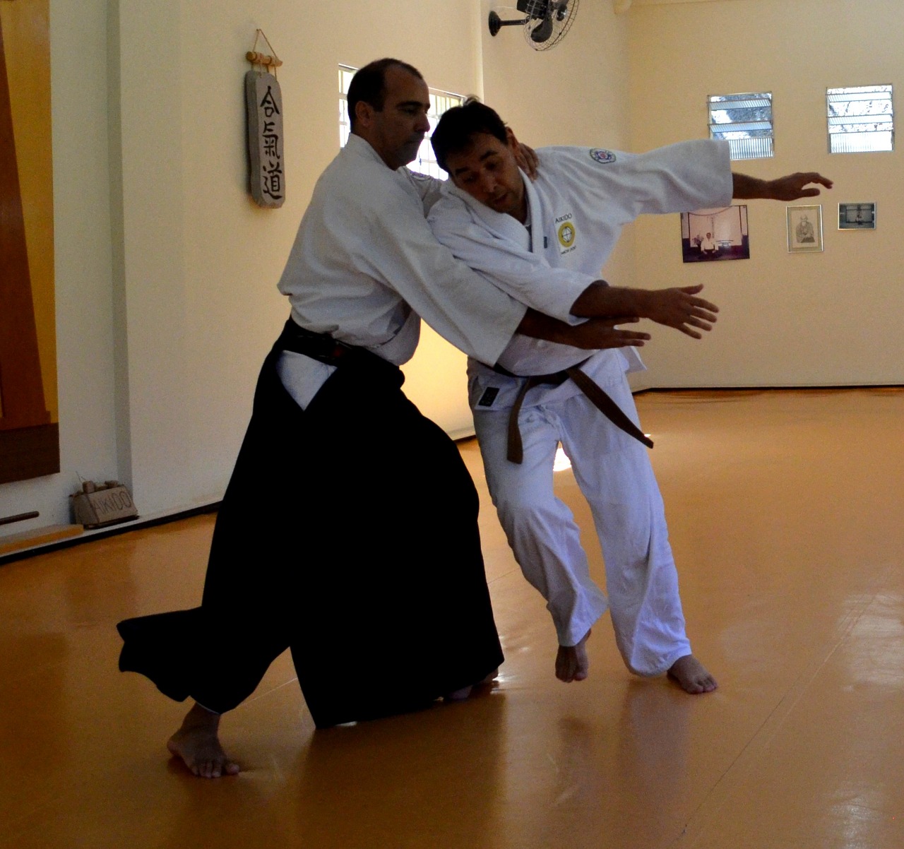 Aikido, o Caminho da Harmonia – Life Informa
